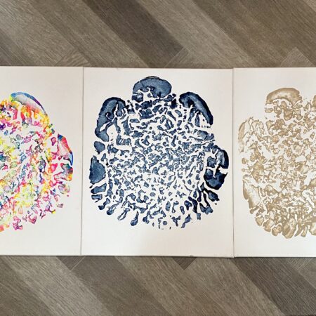 Products – Elephant Oasis